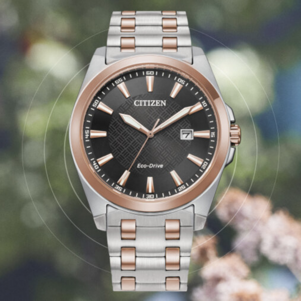 Citizen Mens Two-Tone Eco-Drive Watch - John Fitzgerald Jewellers ...